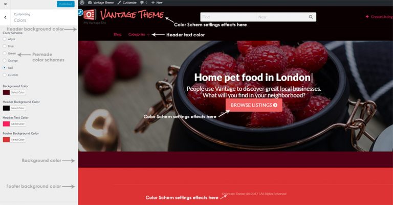 Vantage Theme Settings - Appearance | AppThemes Docs