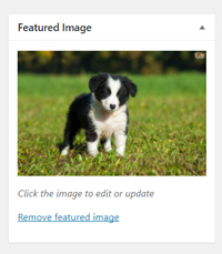 Clipper- Basic Setup Configuration and Usage | AppThemes Docs
